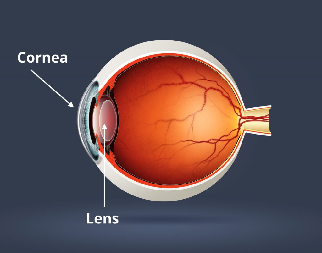 Here’s What You Need To Know About Astigmatism – Youreyewearguide.com